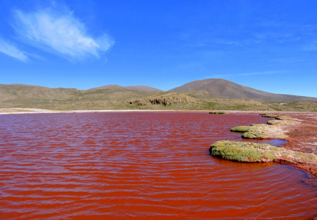 Laguna Roja en Chile es confundida en redes con el Río Nilo